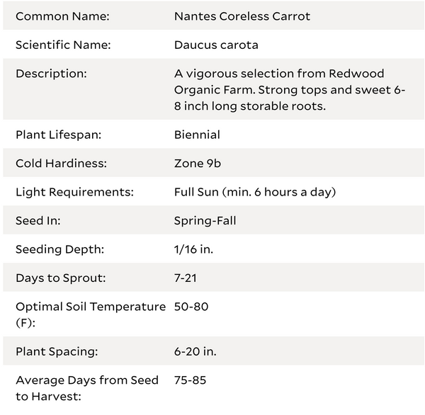 Nantes Coreless Carrot Seeds – Heritage Goods and Supply